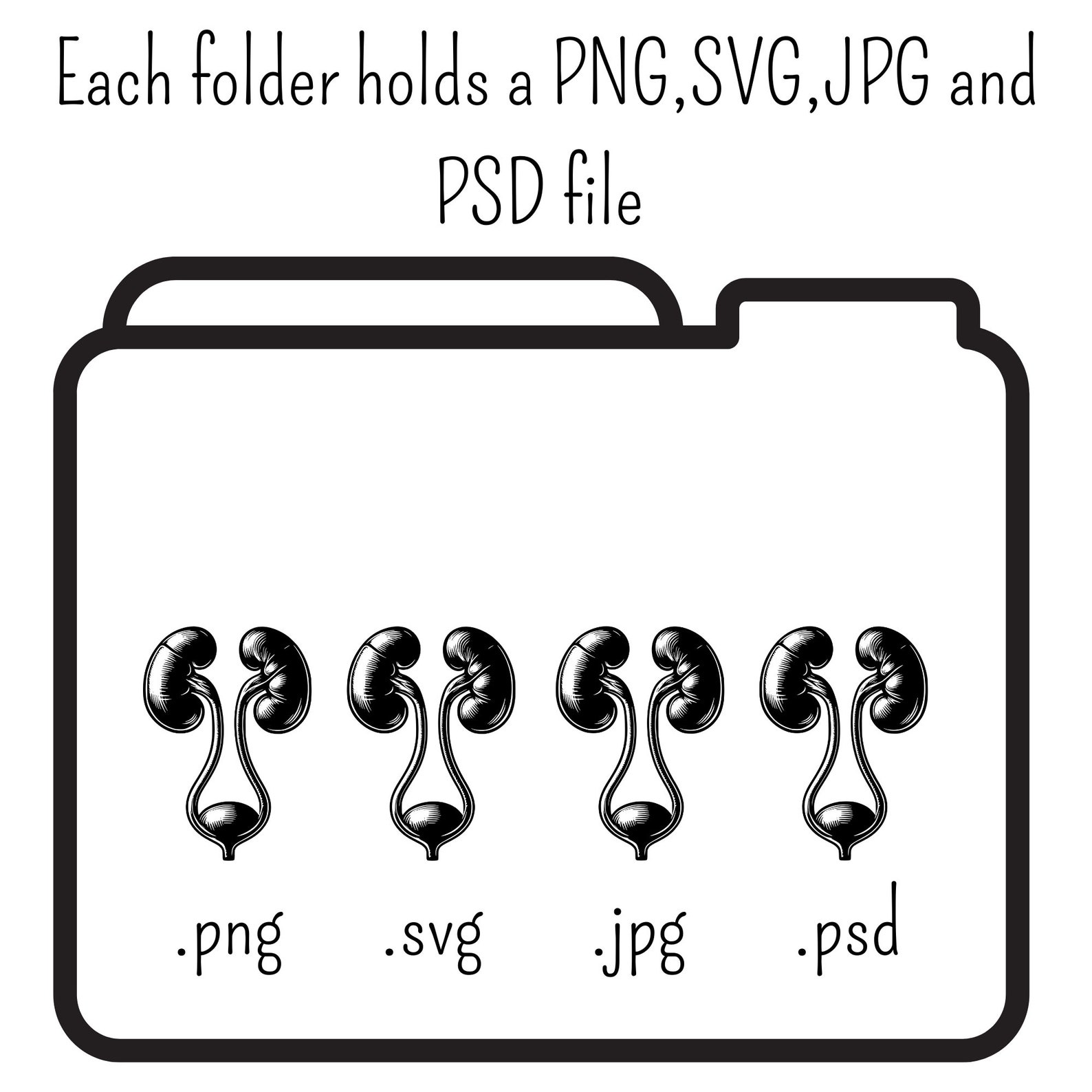 Human Organs SVG Bundle, 35 Organ Designs, PNG, PSD - Etsy