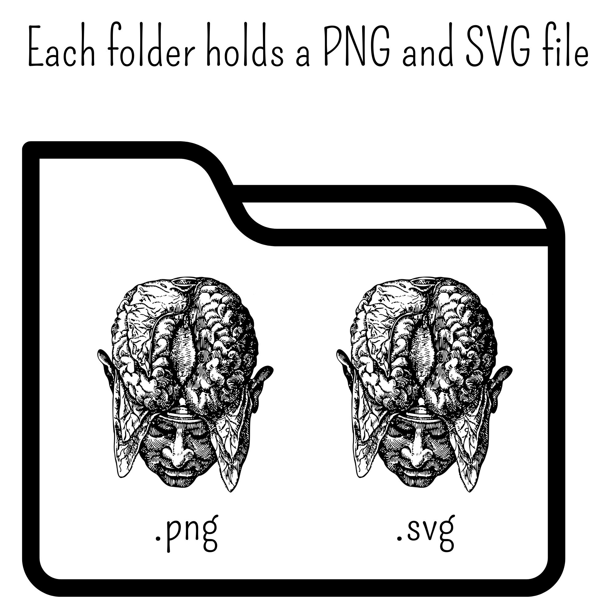Human Anatomy II SVG, 66 Body Parts PNG, Cricut - Etsy