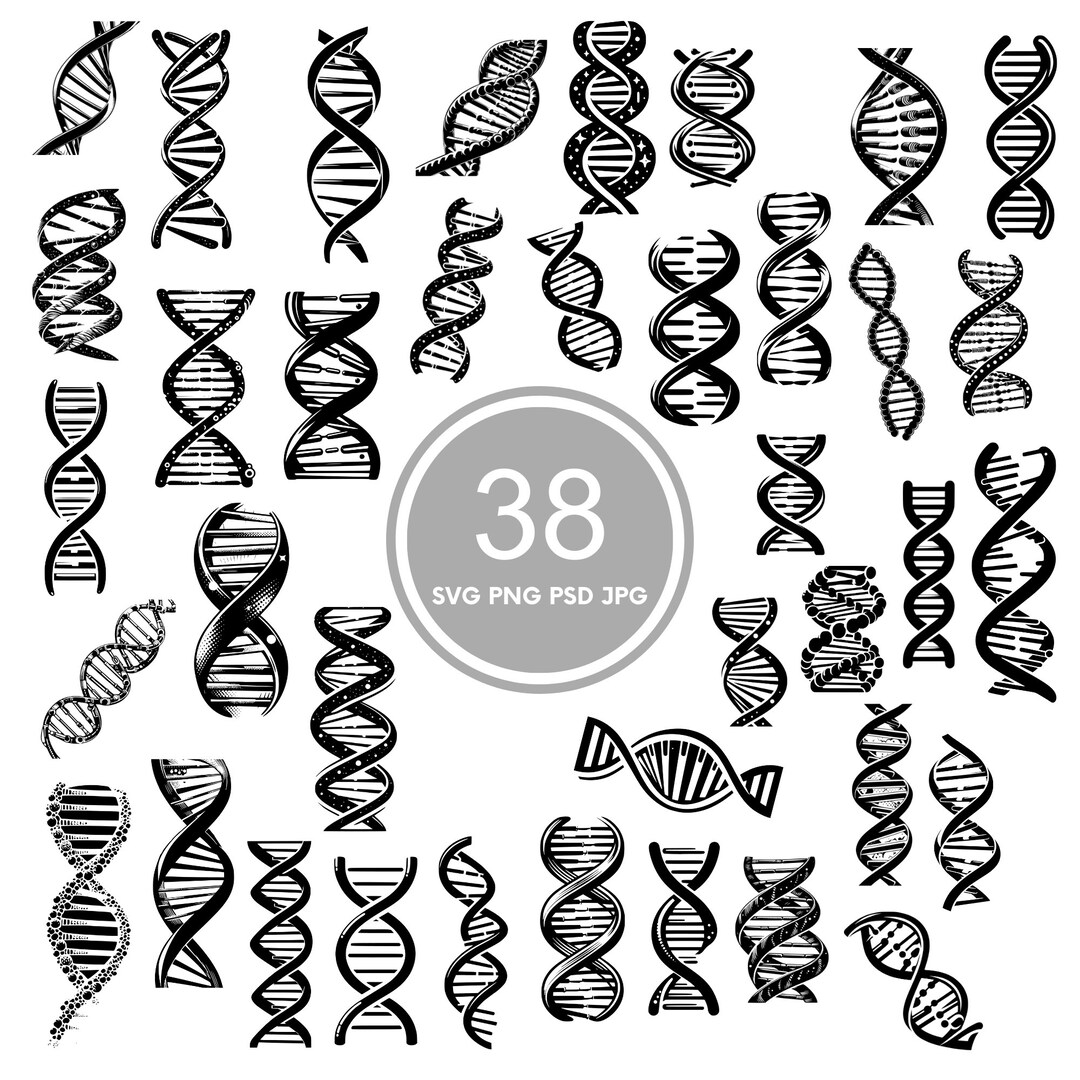 DNA String SVG Bundle, 38 Dna Designs, PNG - Etsy