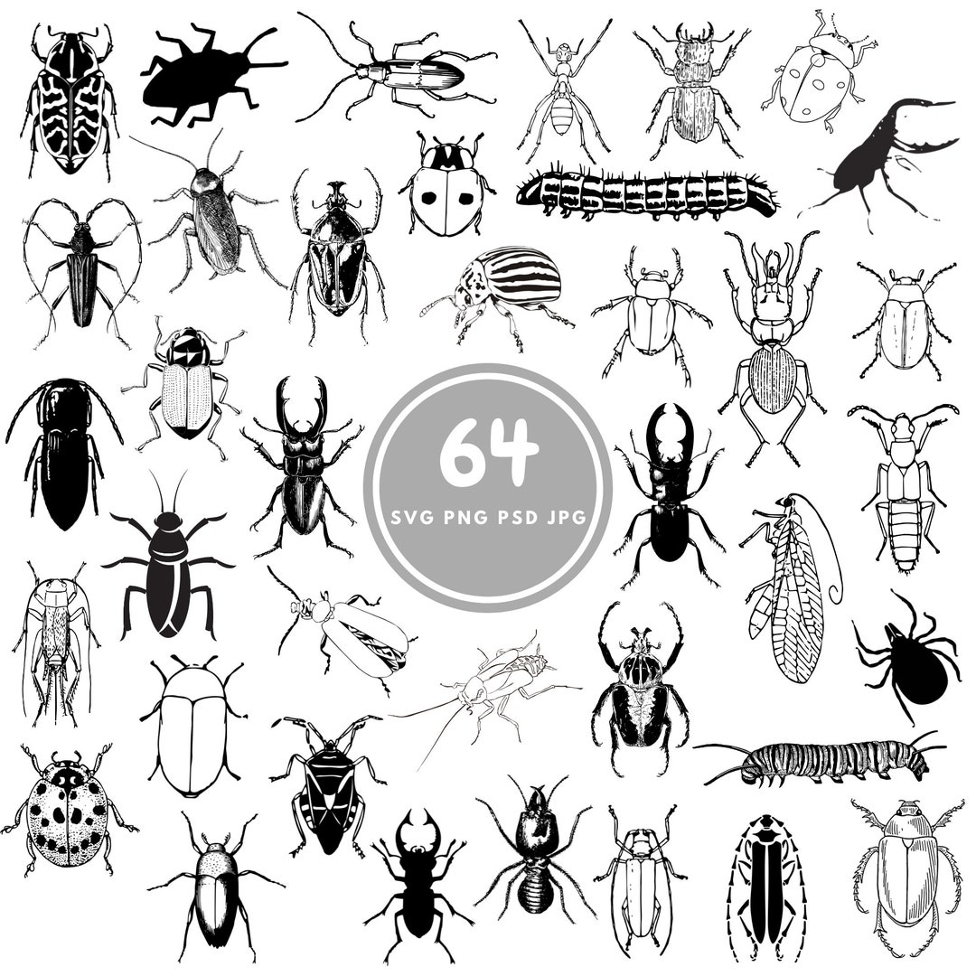 Bug SVG, 64 Beetle Svg Bundle, PNG, PSD - Etsy UK
