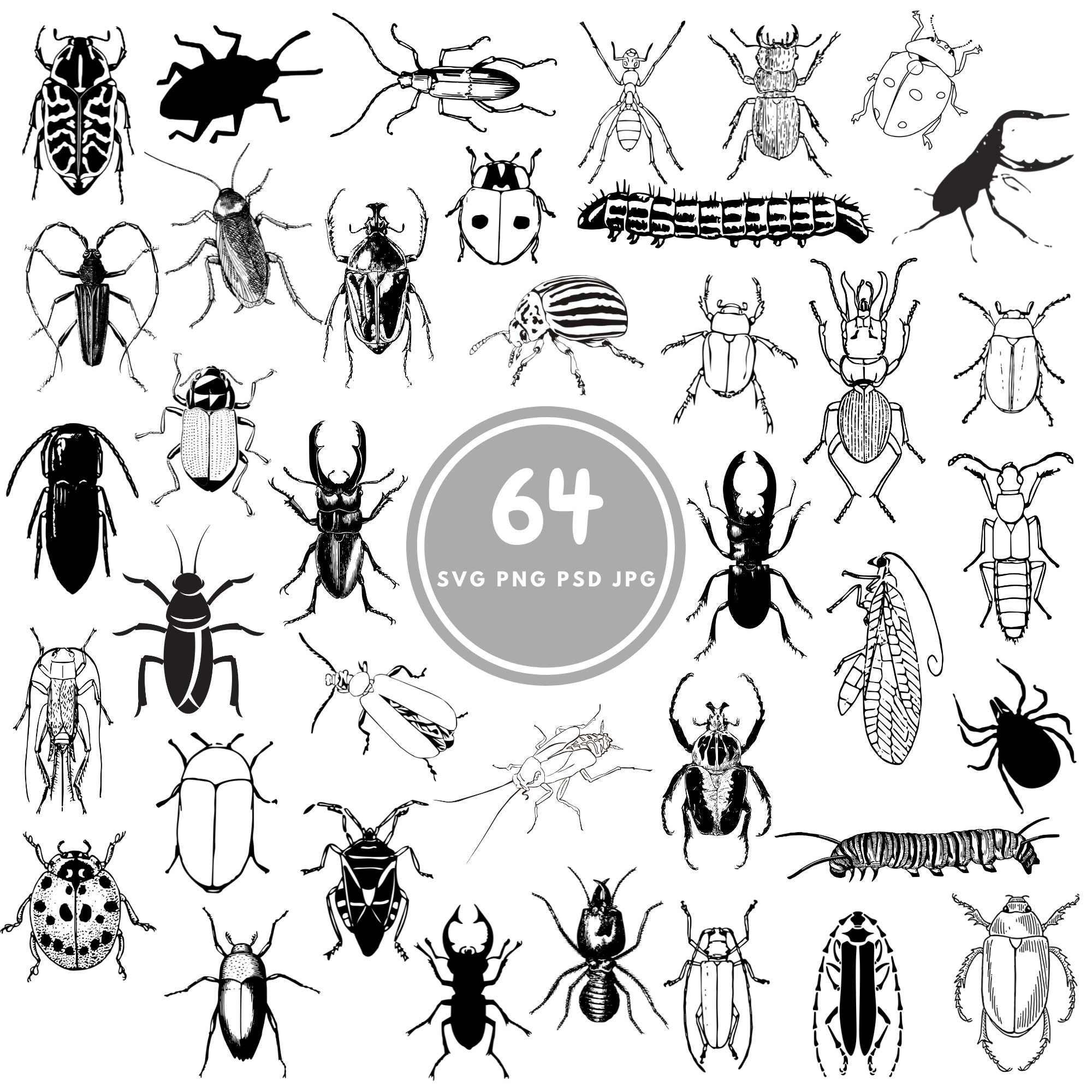 Bug SVG, 64 Beetle Svg Bundle, PNG, PSD - Etsy