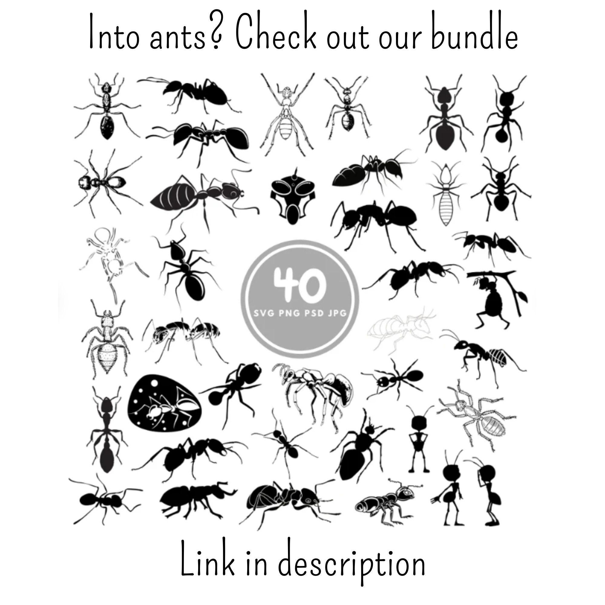 Ant Font, Alphabet With Ants, Ant Letters as Png - Etsy