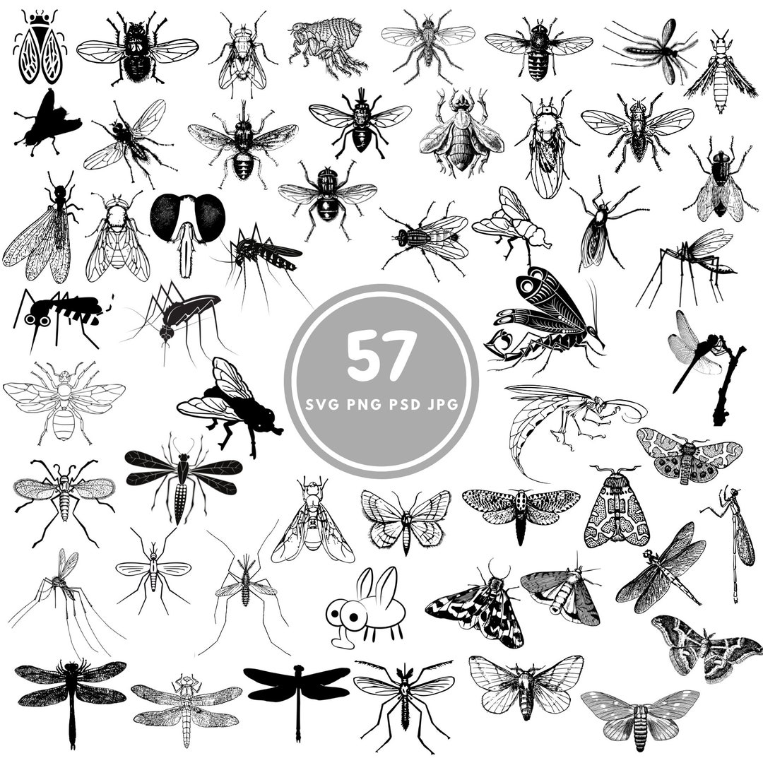Fly SVG, 57 Mosquito Svg Bundle, PNG, PSD - Etsy