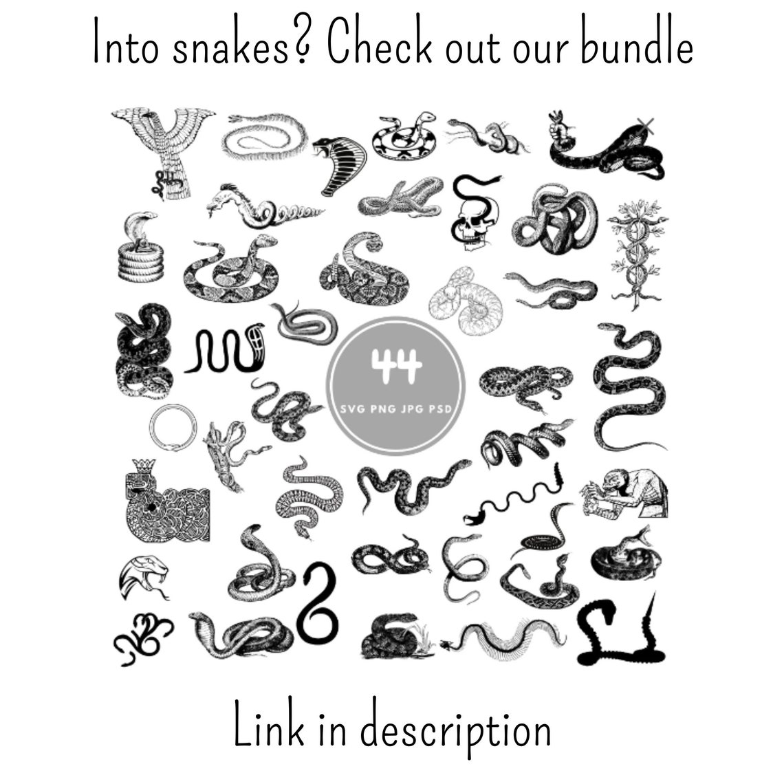 Snake Font Alphabet With Snakes Snake Letters as Png - Etsy