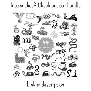 Snake Font, Alphabet With Snakes, Snake Letters as Png - Etsy