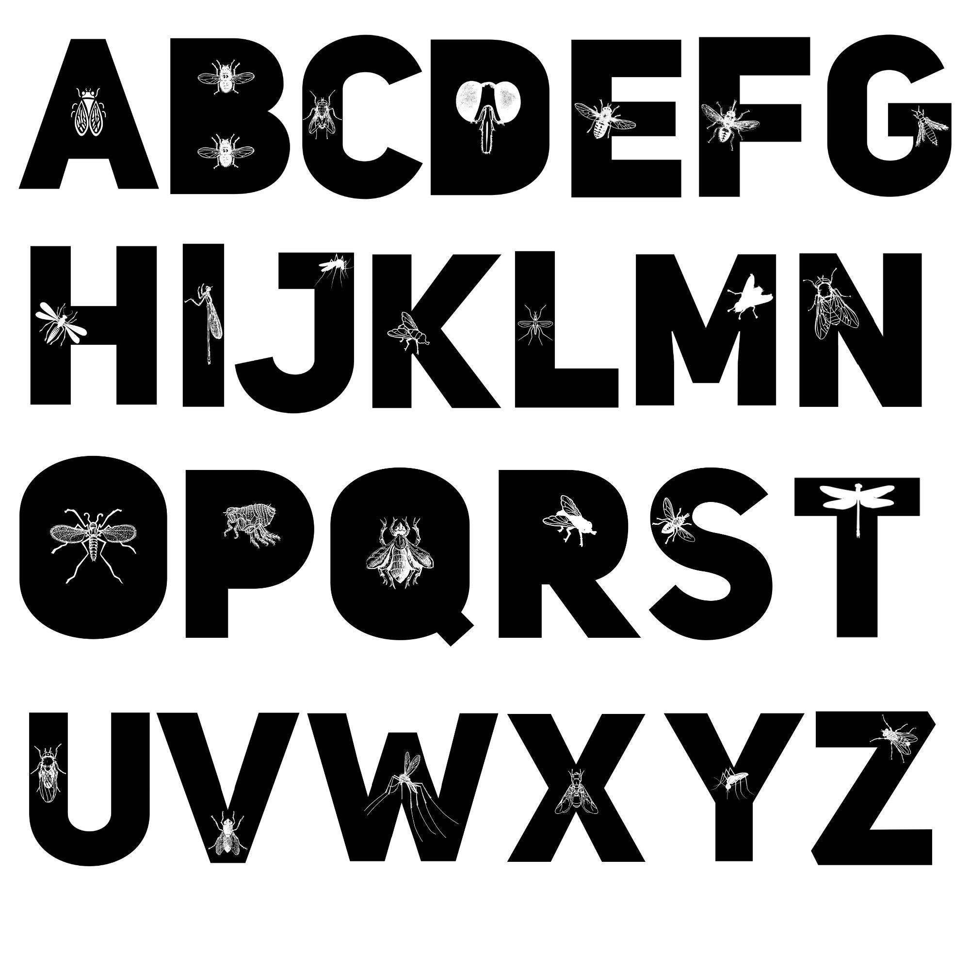 Fly Font, Alphabet With Flies, Fly Letters as Png - Etsy