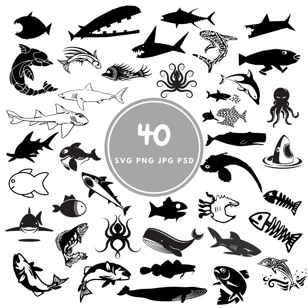 Fische Design SVG, 40 Fisch Svg Bundle, PNG, PSD - Etsy.de