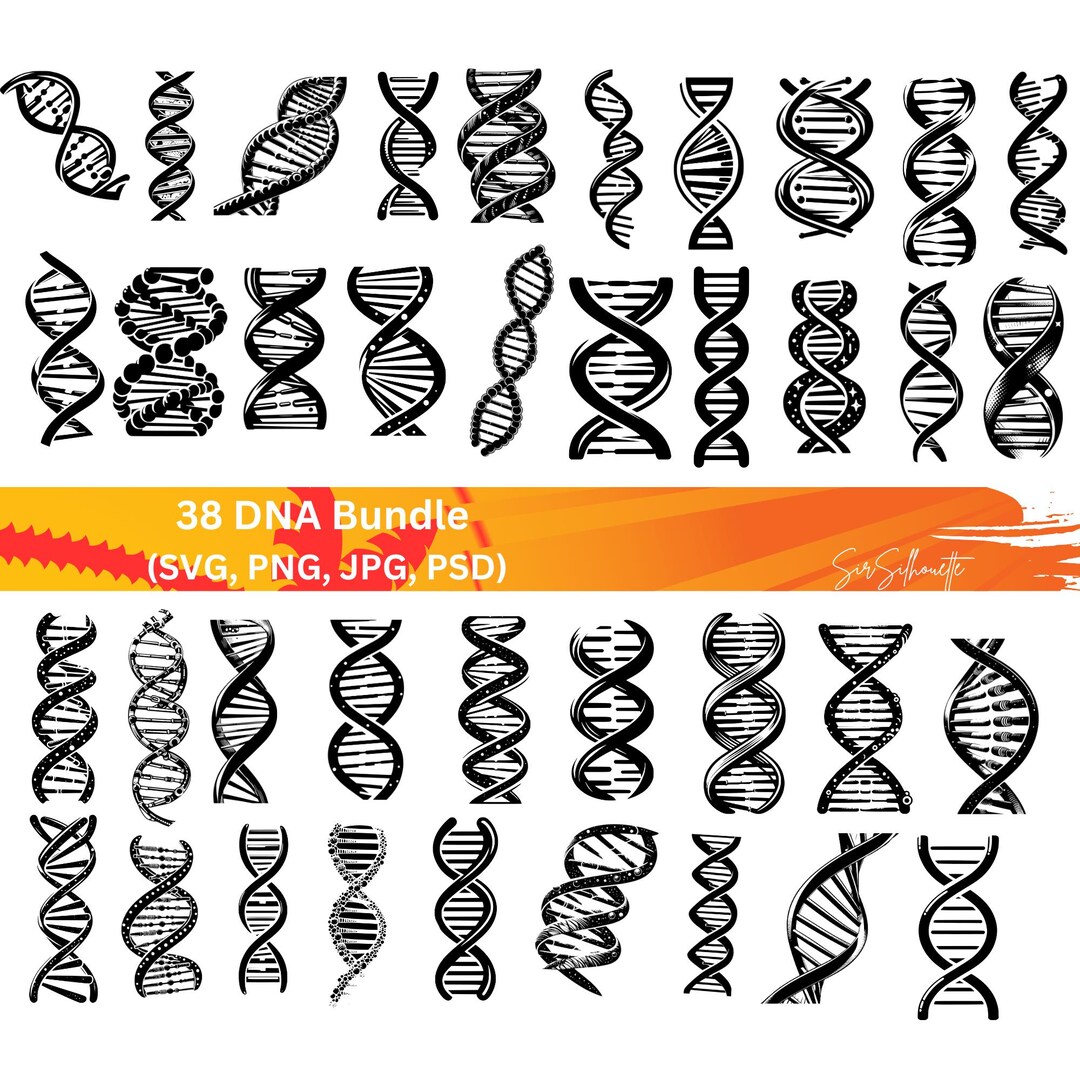DNA String SVG Bundle, 38 Dna Designs, PNG - Etsy