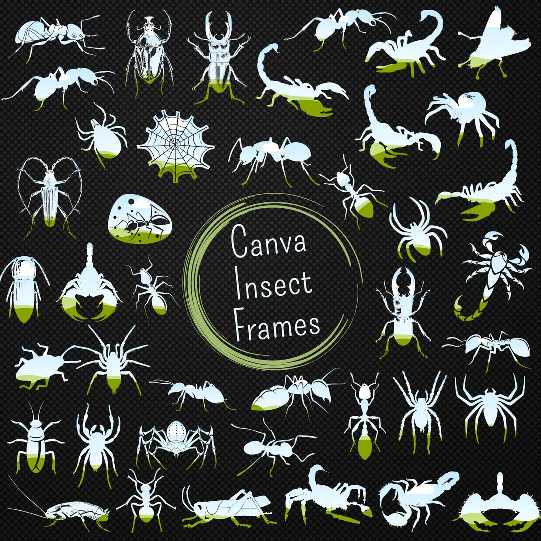 42 Canva Bug Frames, Custom Insect Frames for Canva, Ant Pdf - Etsy