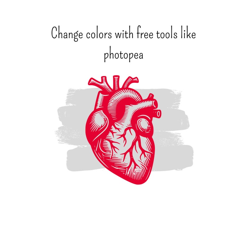 Human Organs SVG Bundle, 35 Organ Designs, PNG, PSD - Etsy