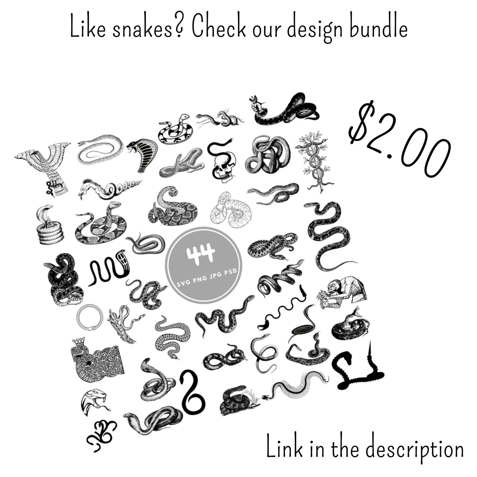 Snake Font Alphabet With Snakes Snake Letters as Png - Etsy
