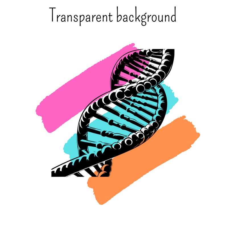 DNA String SVG Bundle, 38 Dna Designs, PNG - Etsy