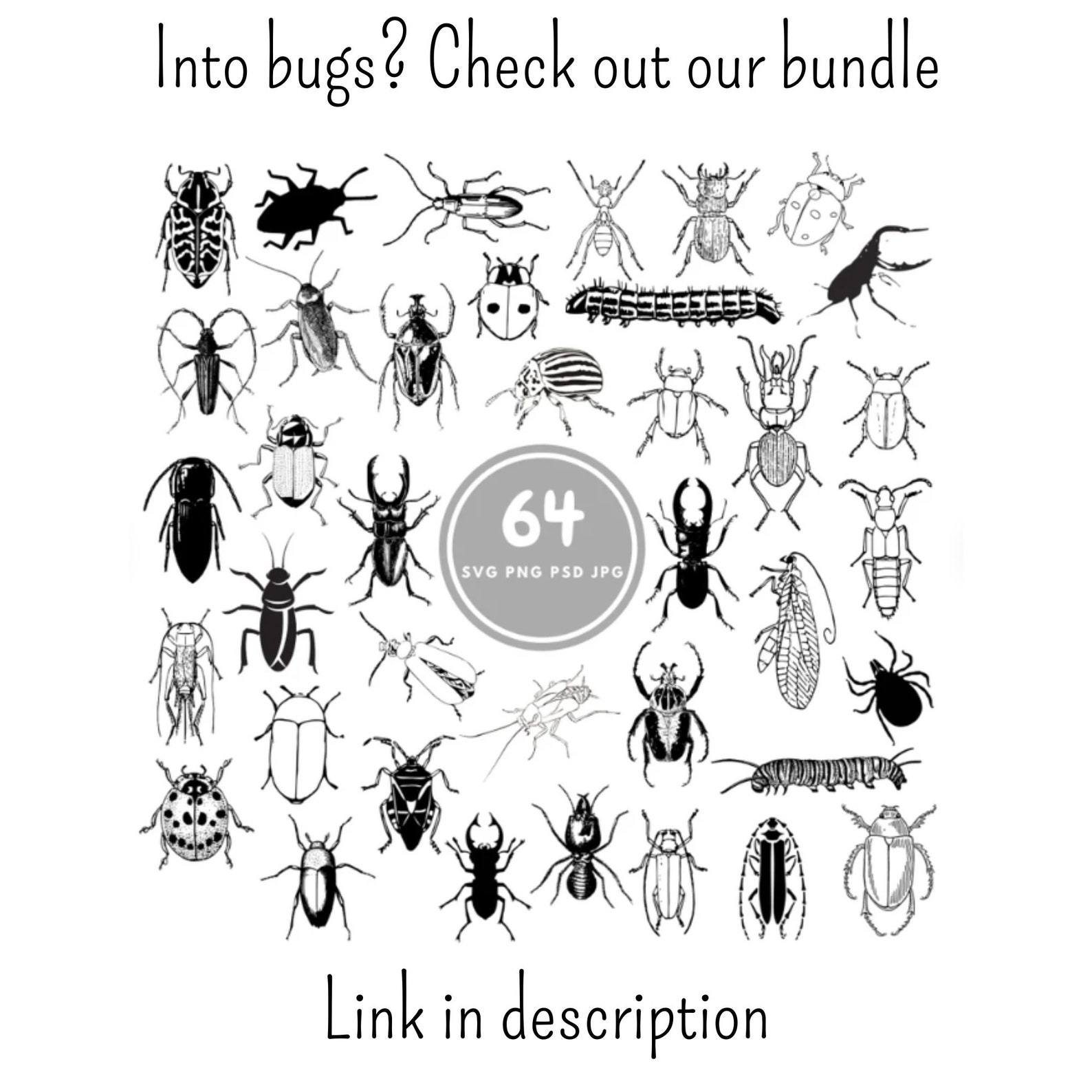 Bug Font, Alphabet With Bugs, Bug Letters as Png - Etsy