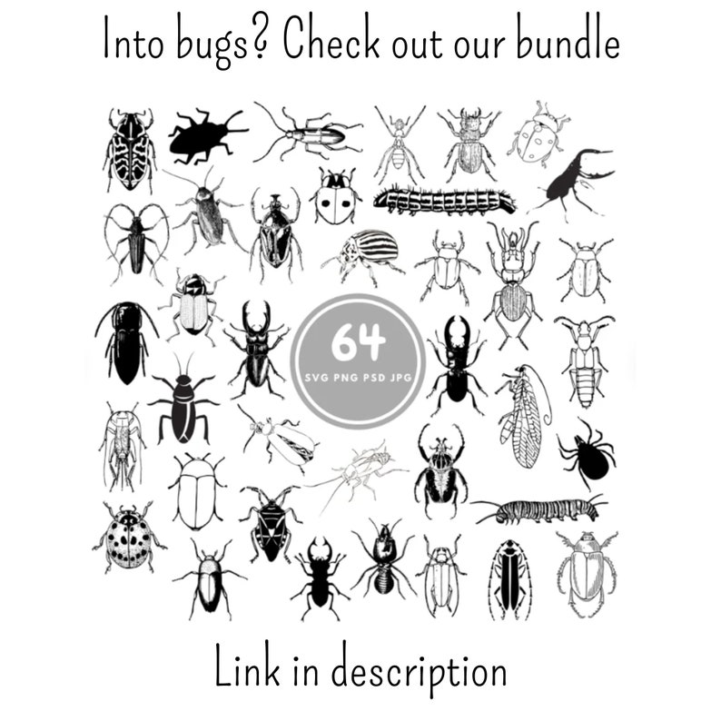 Bug Font, Alphabet With Bugs, Bug Letters as Png - Etsy