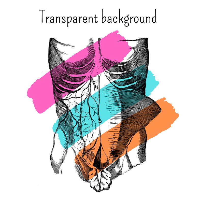 Human Anatomy II SVG, 66 Body Parts PNG, Cricut - Etsy