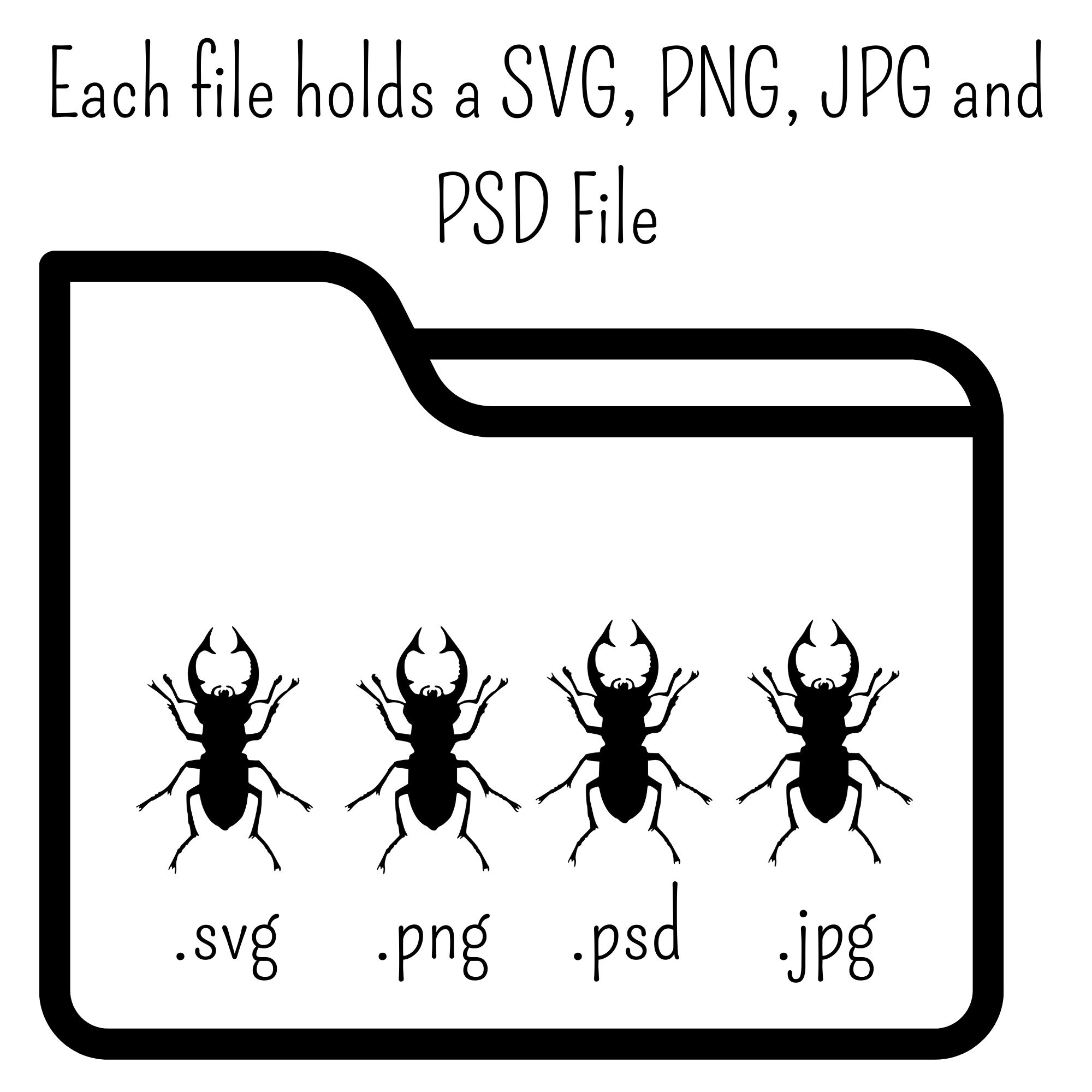 Bug SVG 64 Beetle Svg Bundle PNG PSD - Etsy