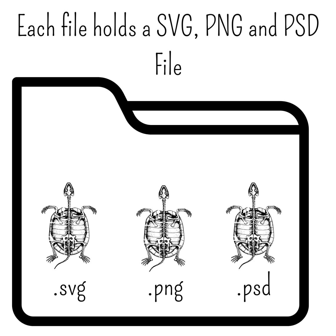 Tier Skelette SVG 48 Anatomie Svg Bundle PNG PSD - Etsy.de