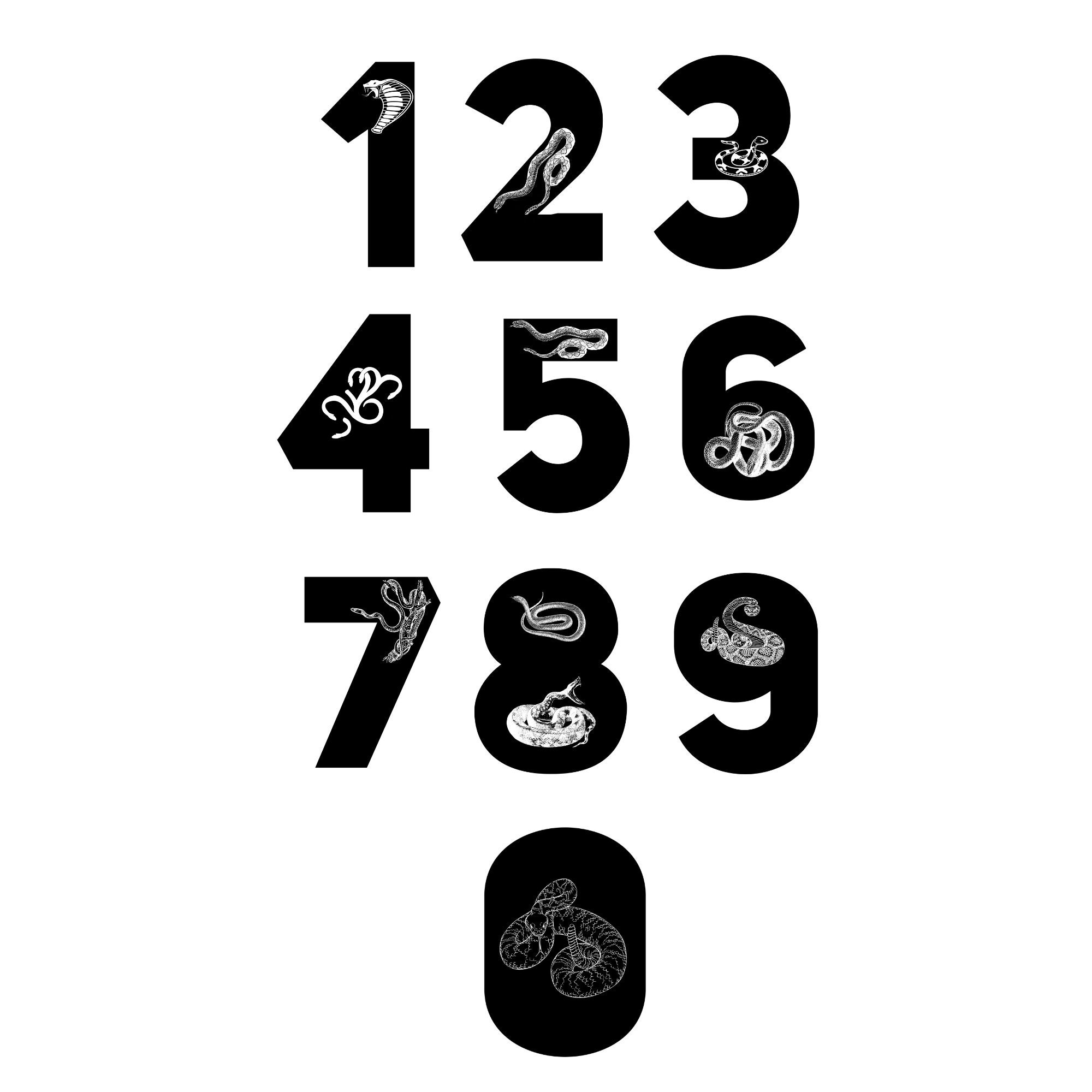 Snake Font, Alphabet With Snakes, Snake Letters as Png - Etsy