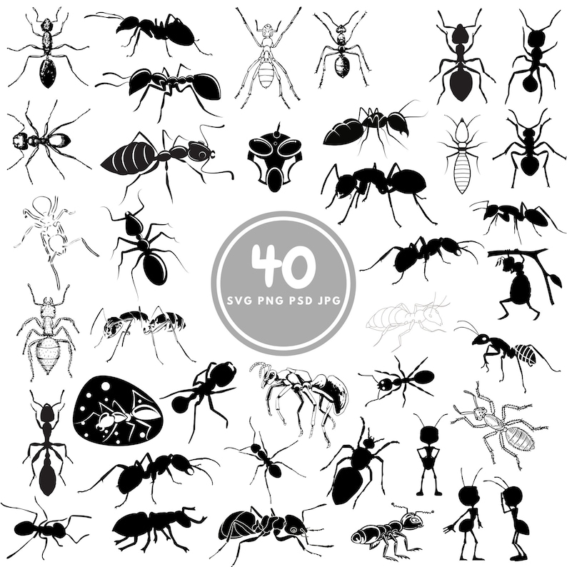 Ant SVG, 40 Insect Svg Bundle, PNG, PSD - Etsy