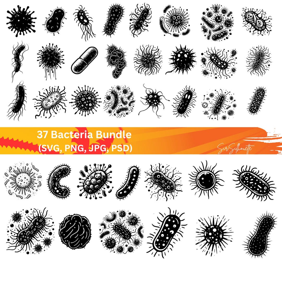Bacteria SVG Bundle, 24 Bacteria Designs, PNG, PSD - Etsy