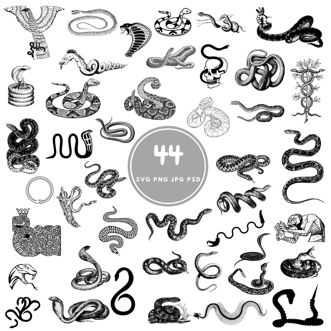 Snake Design SVG, 44 Reptile Svg Files, PNG, PSD - Etsy