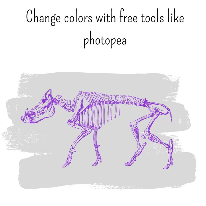 Animal Skeleton SVG Bundle 57 Animal Bones Designs Cricut, Silhouette ...