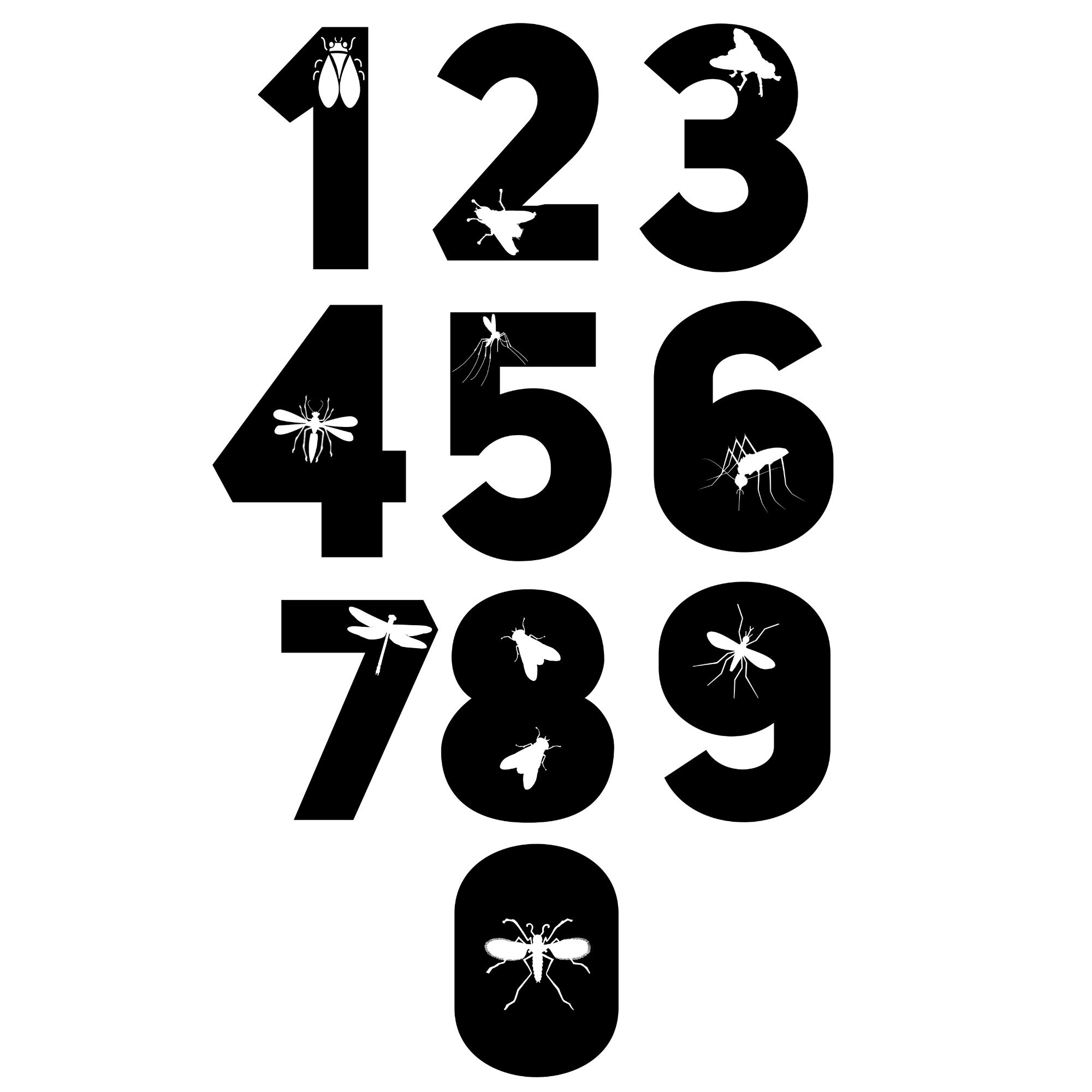 Fly Font, Alphabet With Flies, Fly Letters as Png - Etsy