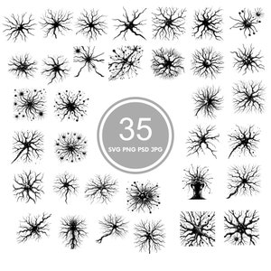 Neurons SVG Bundle, 35 Synapses Designs, PNG, PSD - Etsy UK