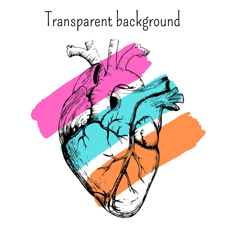 Human Anatomy I SVG 57 Body Parts PNG Cricut Silhouette - Etsy