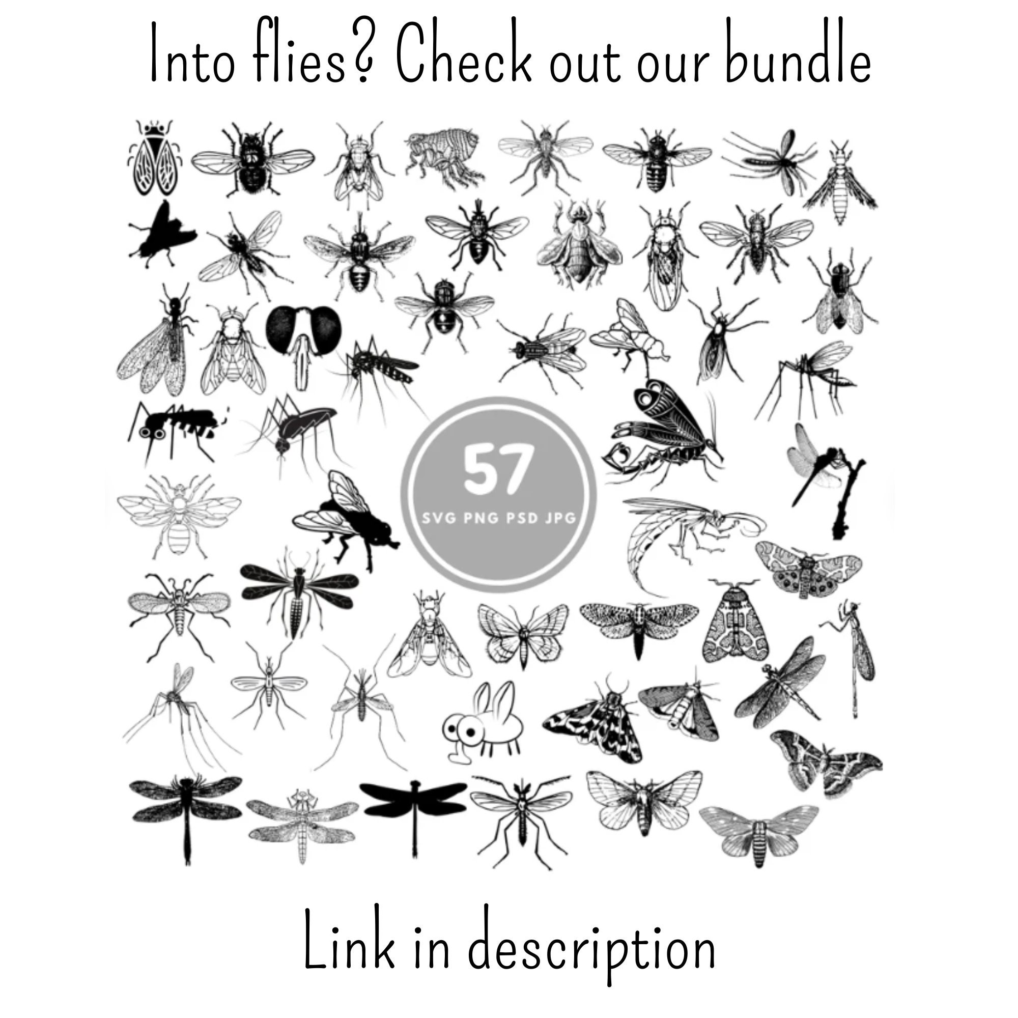 Fly Font, Alphabet With Flies, Fly Letters as Png - Etsy