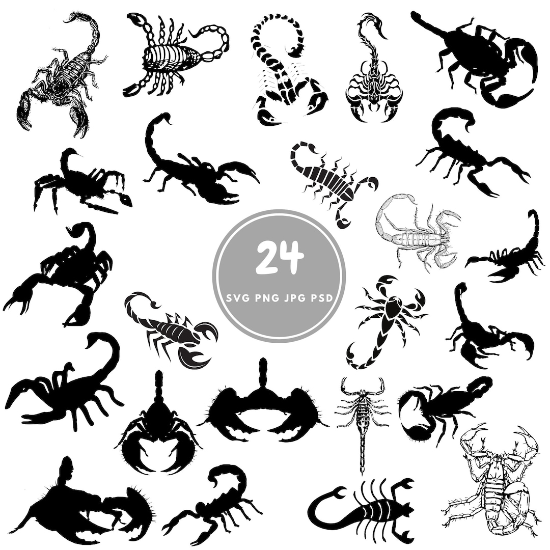 Scorpion Design Bundle, 24 Scorpion Svgs, PNG, PSD - Etsy