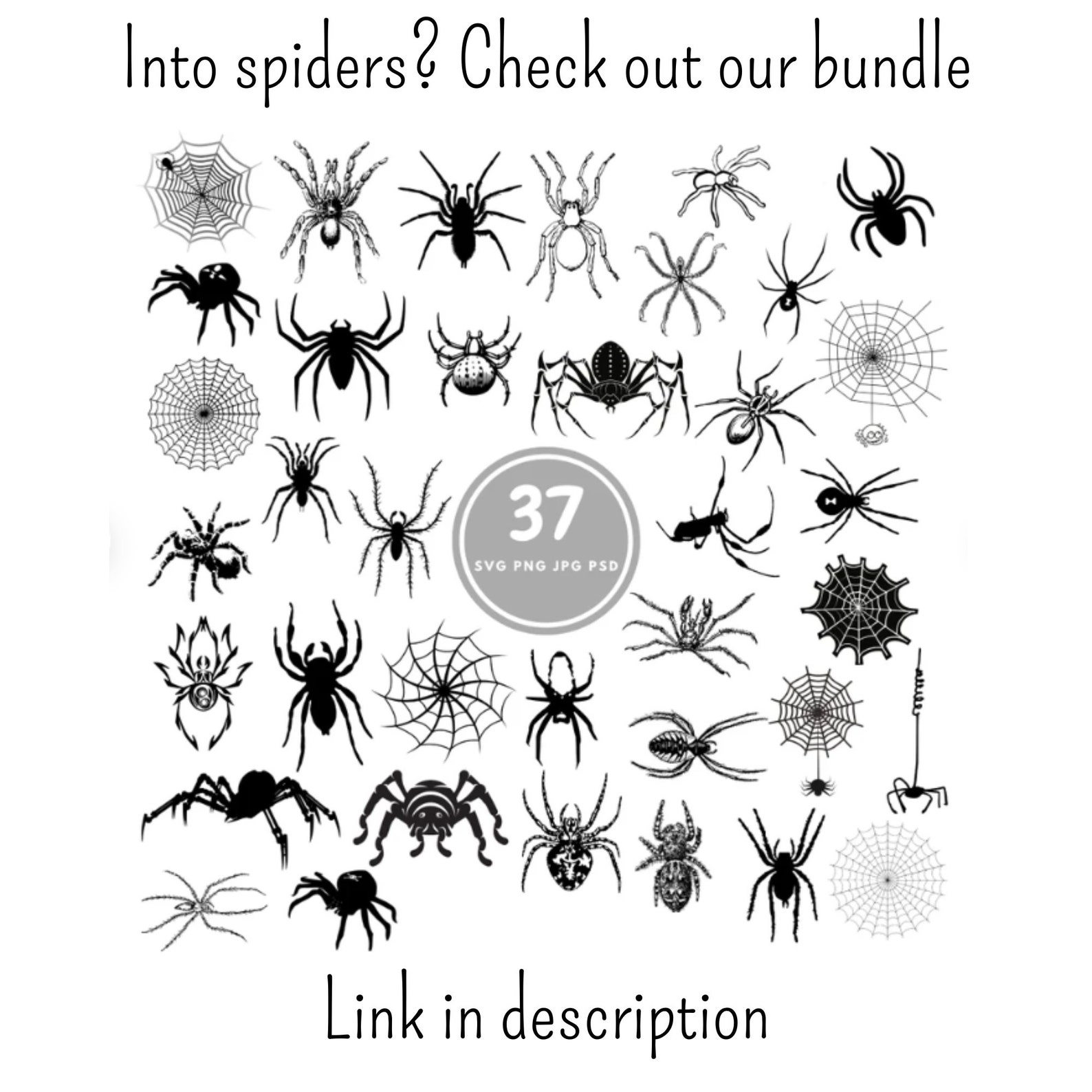 Spider Font, Alphabet With Spiders, Spider Letters as Png - Etsy