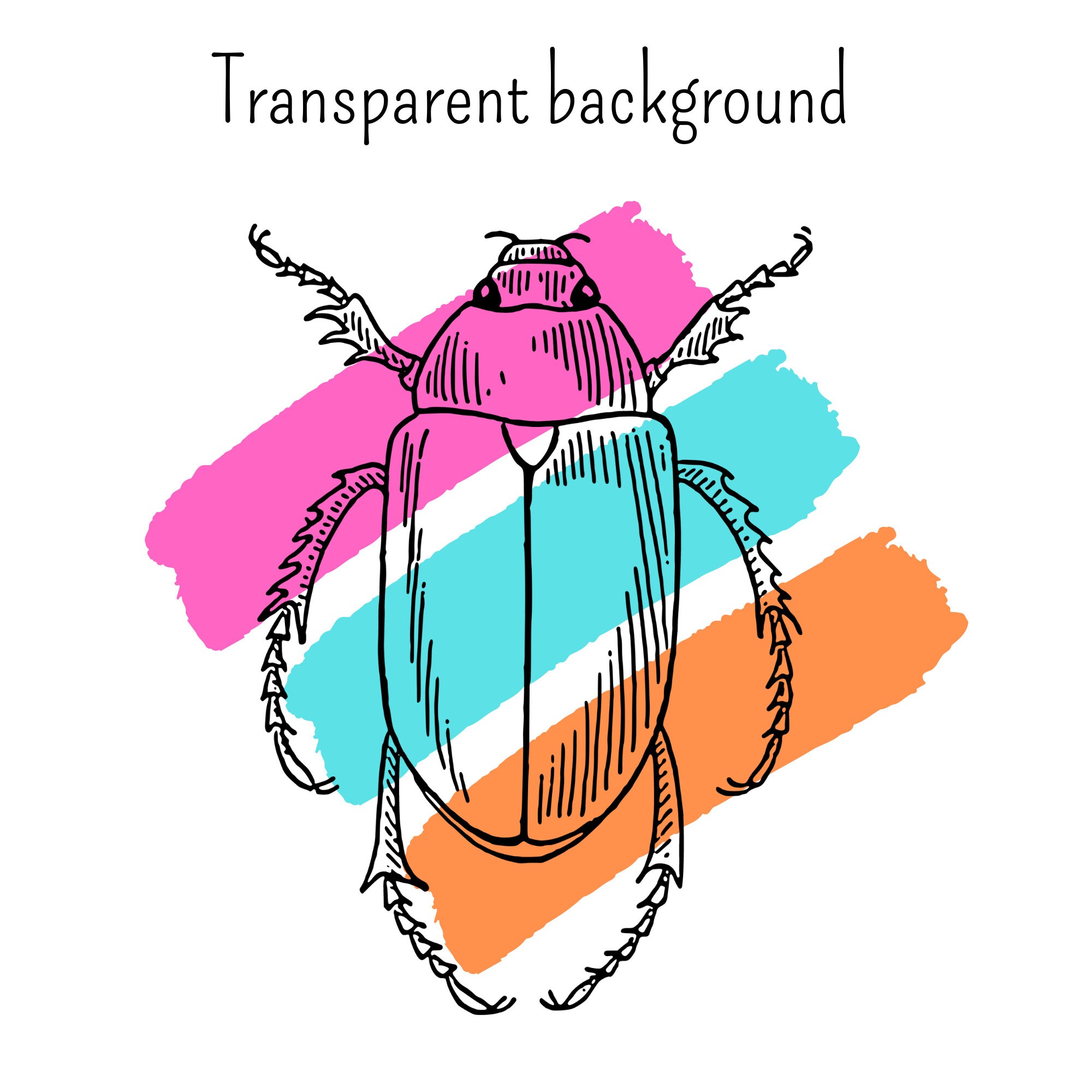 Bug SVG, 64 Beetle Svg Bundle, PNG, PSD - Etsy