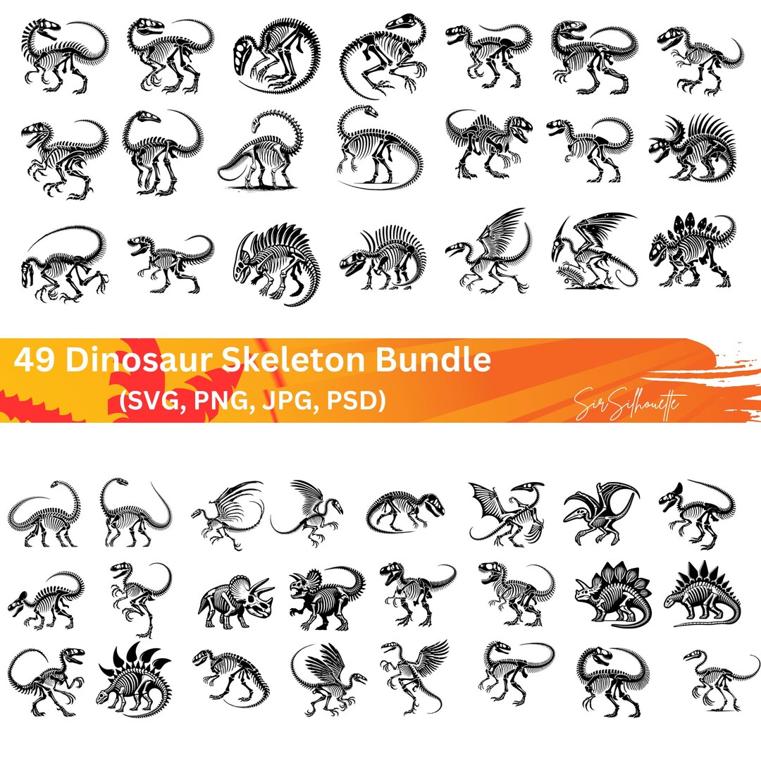 Dinosaur Skeleton Design SVG, 49 Fossil Svg Bundle, PNG, PSD - Etsy