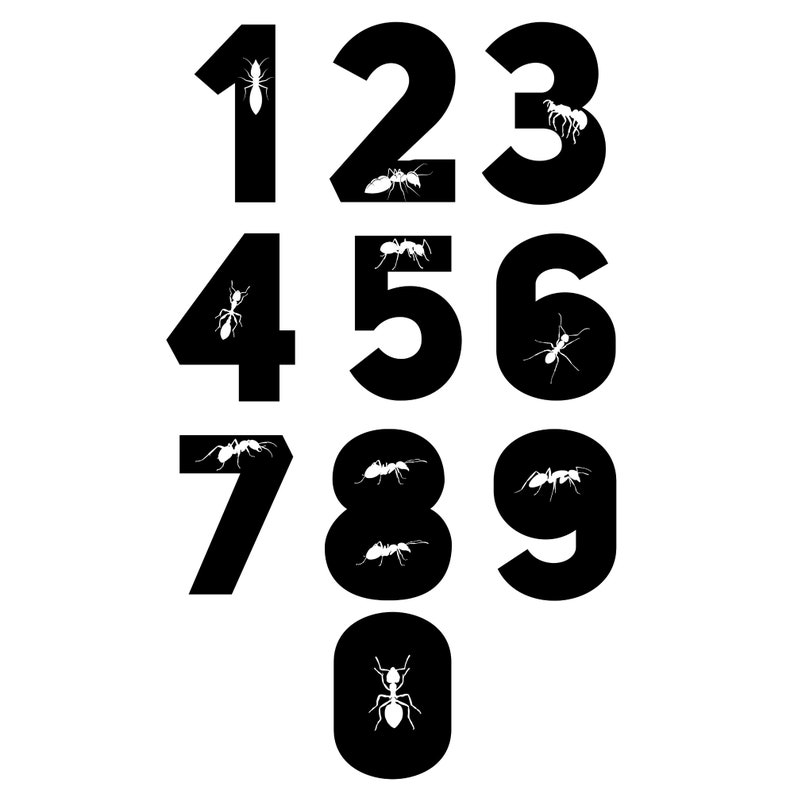 Ant Font, Alphabet With Ants, Ant Letters as Png - Etsy