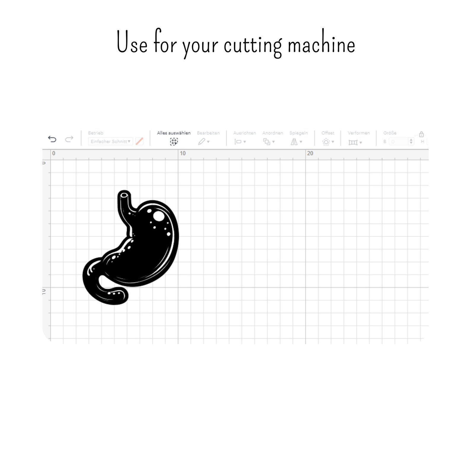 Human Organs SVG Bundle, 35 Organ Designs, PNG, PSD - Etsy
