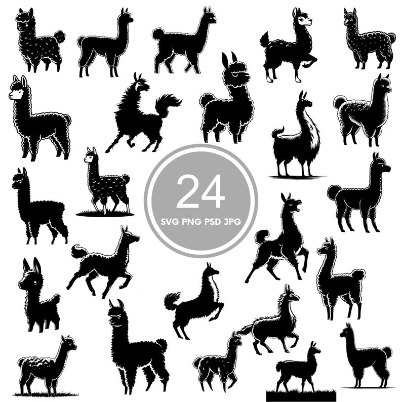 Alpaca SVG Bundle 24 Llama Designs PNG PSD - Etsy
