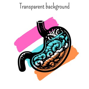 Human Organs SVG Bundle, 35 Organ Designs, PNG, PSD - Etsy