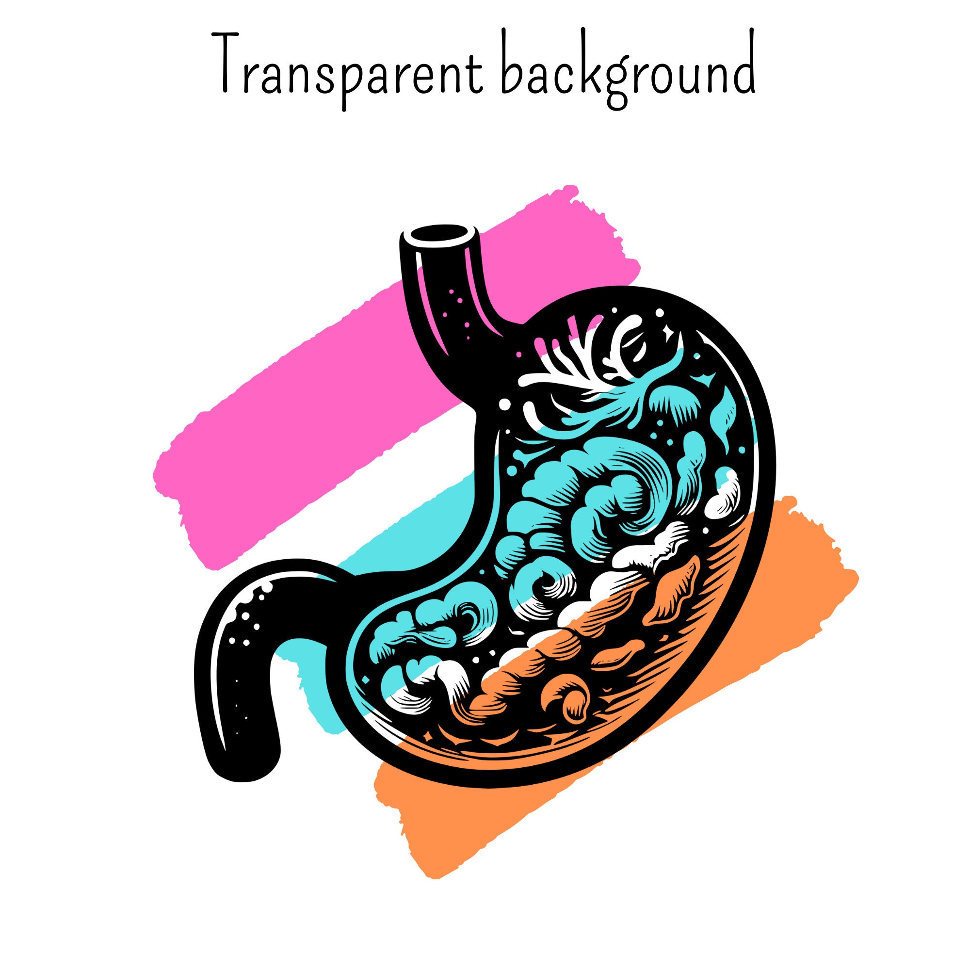 Human Organs SVG Bundle, 35 Organ Designs, PNG, PSD - Etsy