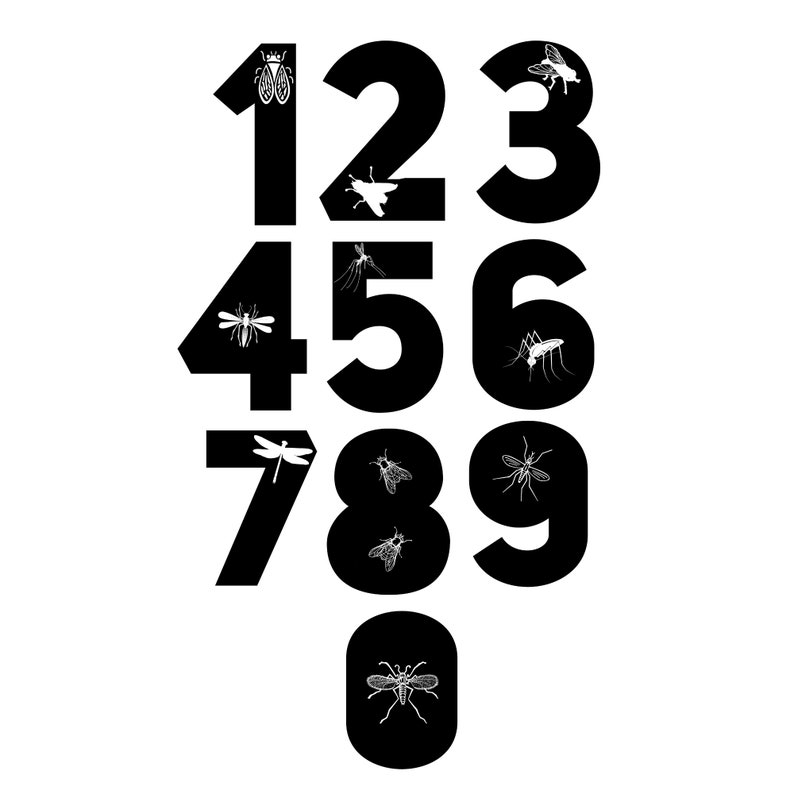 Fly Font, Alphabet With Flies, Fly Letters as Png - Etsy