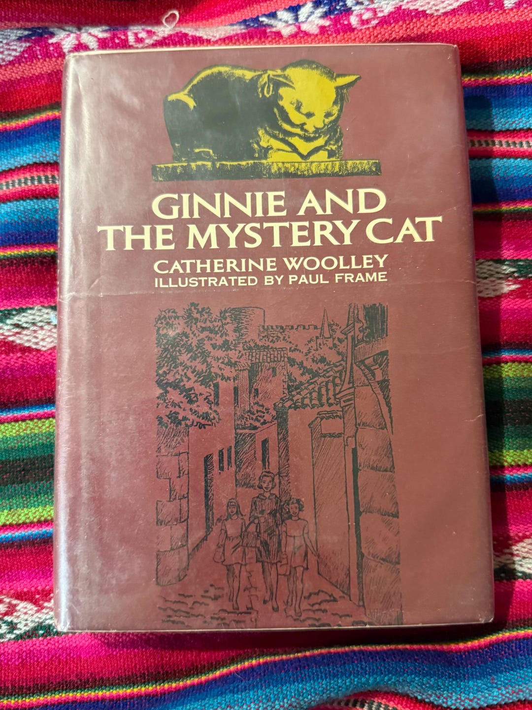 RARE VINTAGE Ginny and the Mystery Cat Catherine Woolley Paul Frame 1st ...