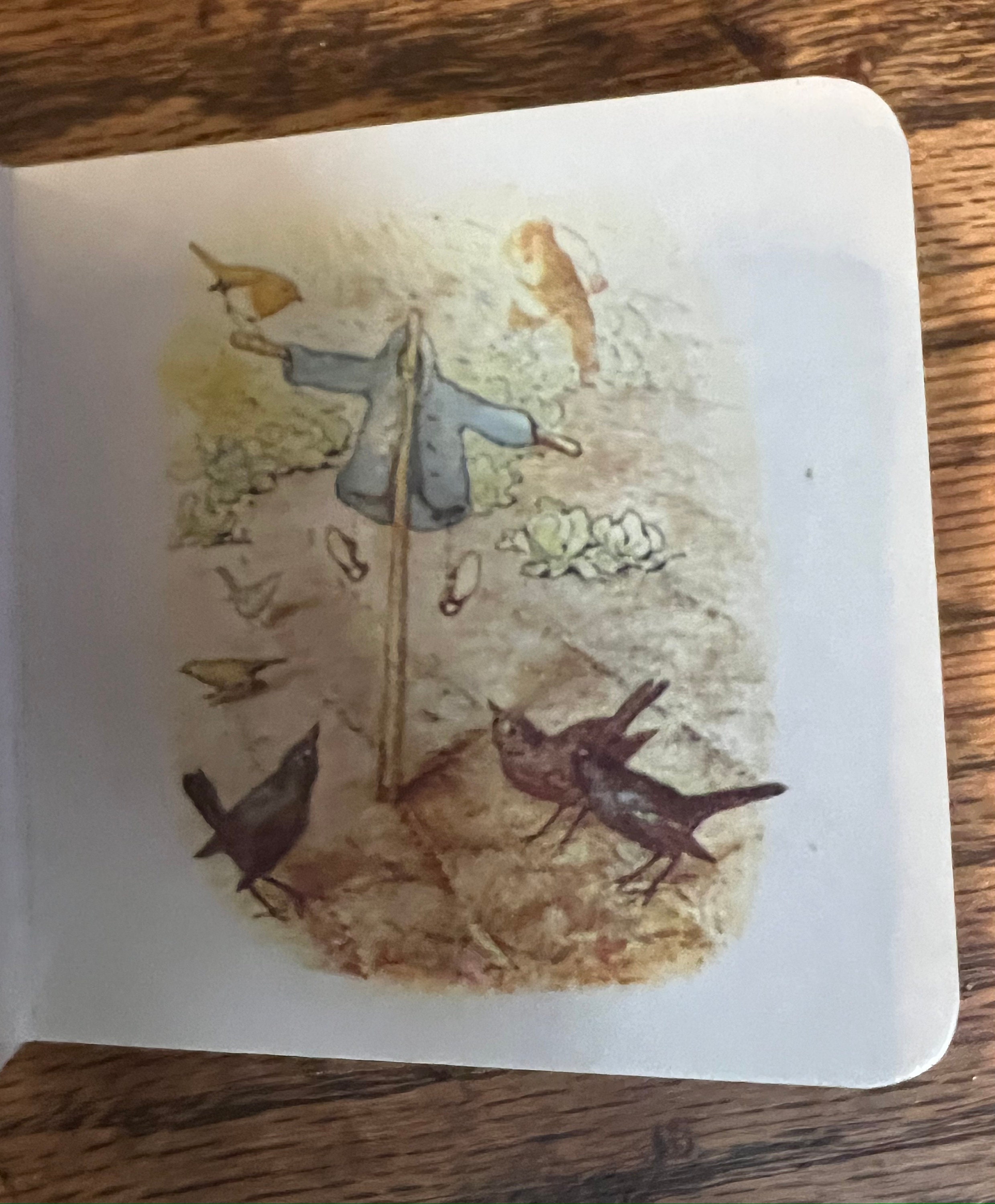 Peter Rabbit Mini Treasury 6 Volume Board Book Set - Etsy