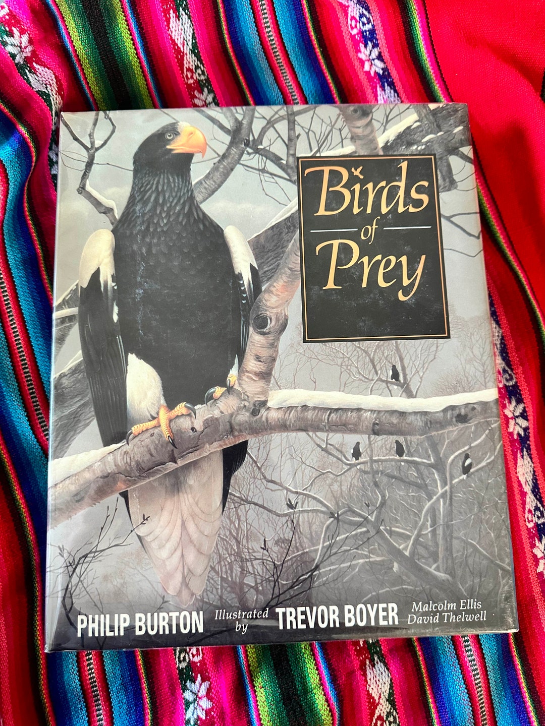 RARE VINTAGE Birds of Prey by Philip Burton 1980s - Etsy