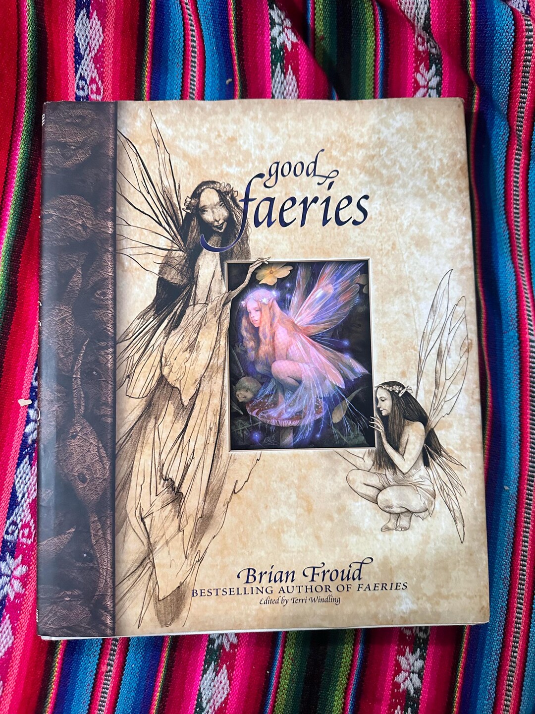 RARE VINTAGE Good Faeries/bad Faeries by Brian Froud First Edition ...