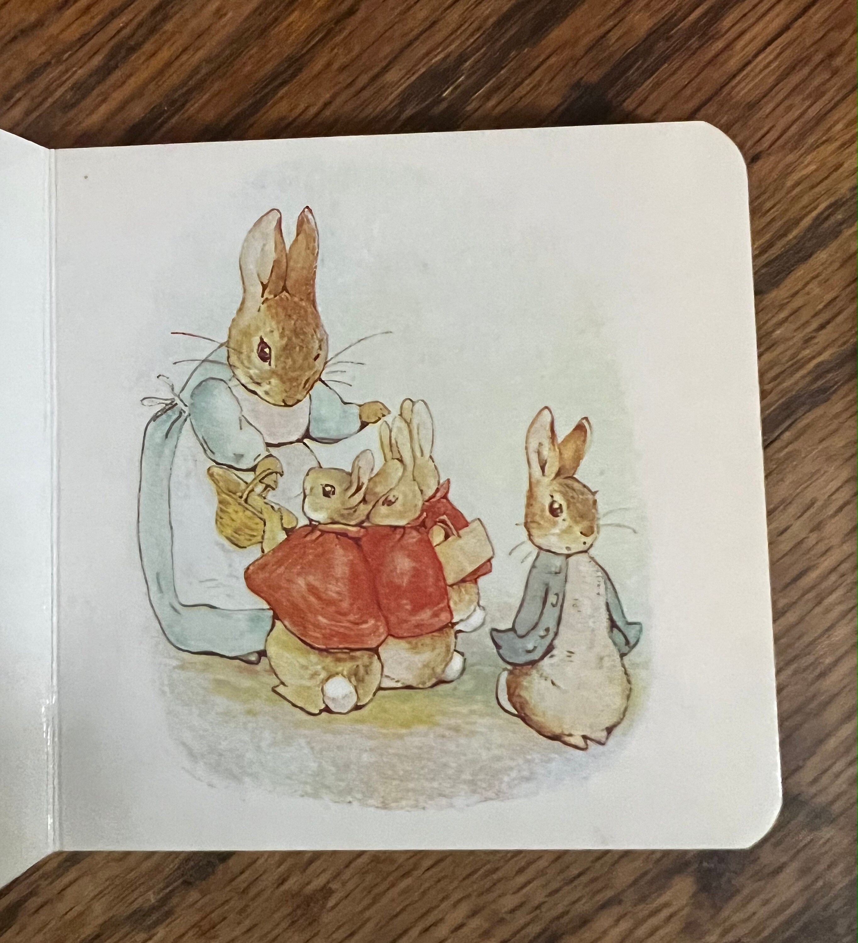 Peter Rabbit Mini Treasury 6 Volume Board Book Set - Etsy