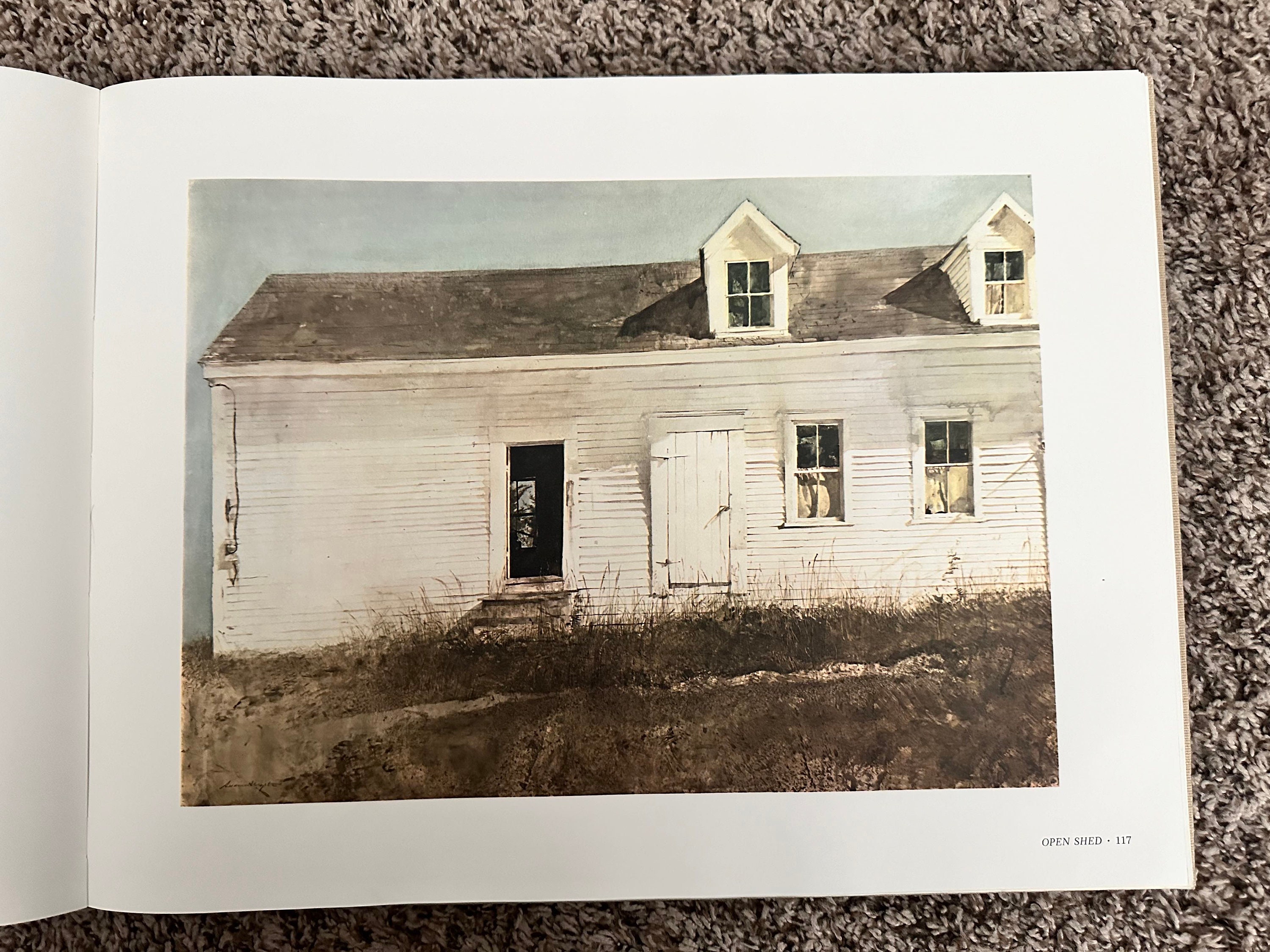 RARE VINTAGE Andrew Wyeth Art Book First Edition Second Printing 1968 ...