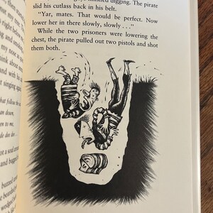 The Not so Jolly Roger by Jon Scieszka 1991 Edition - Etsy