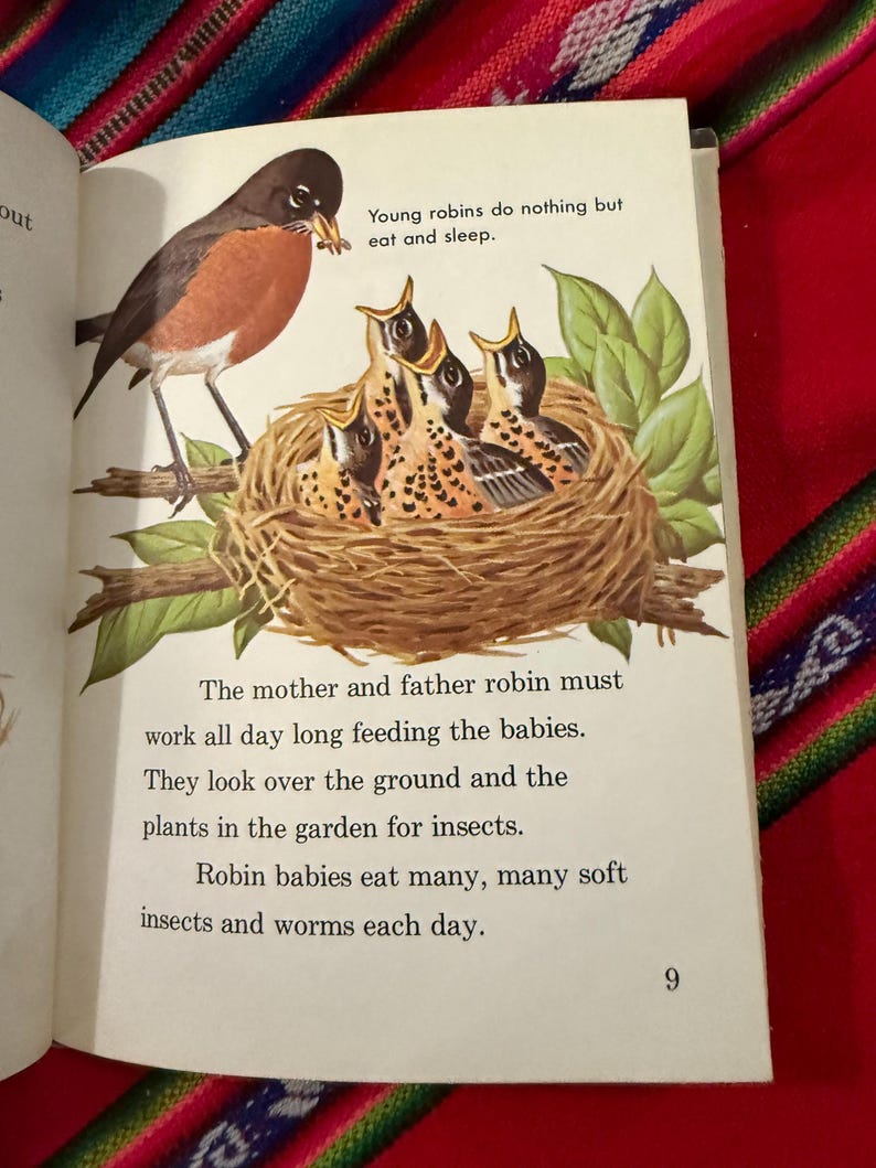 RARE VINTAGE Robins by Edwin Mason Follett Just Beginning Science Book ...