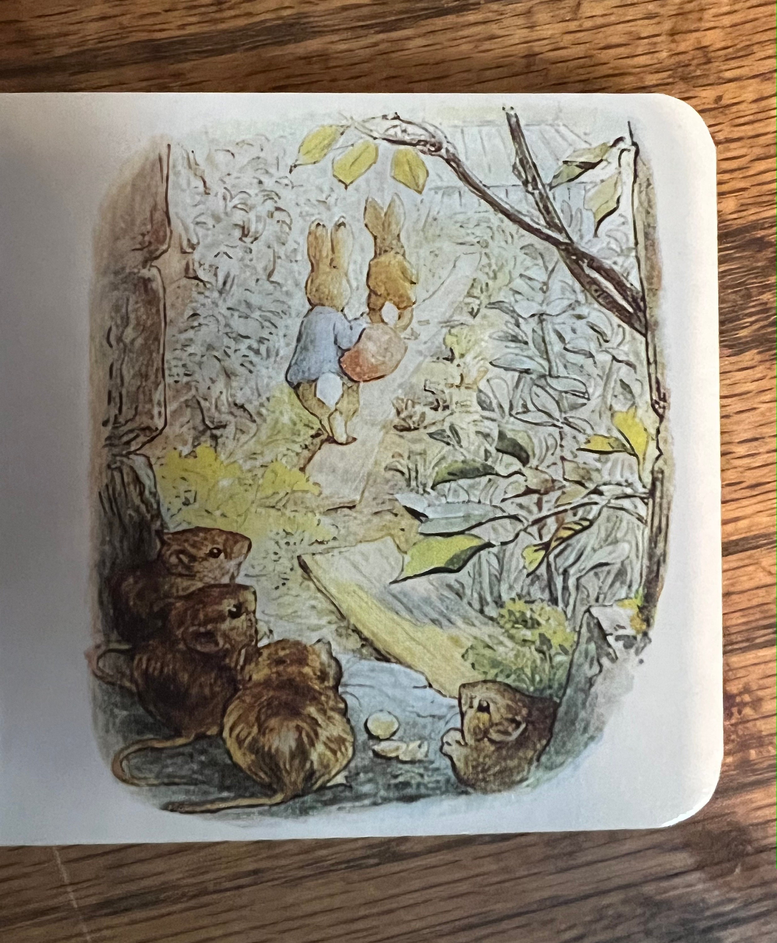 Peter Rabbit Mini Treasury 6 Volume Board Book Set - Etsy