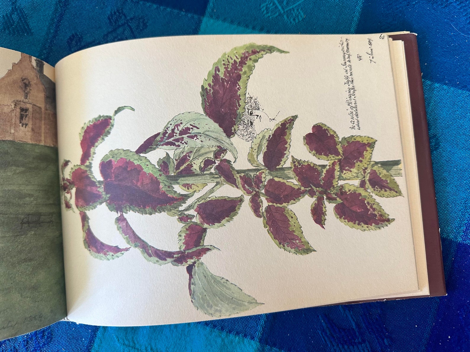 The Doyle Diary - the Last Great Conan Doyle Mystery by Michael Baker ...